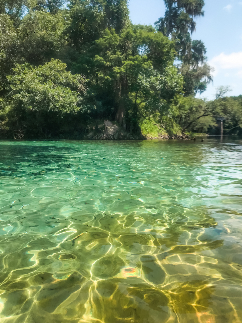 Swimming at Madison Blue Spring State Park in Florida