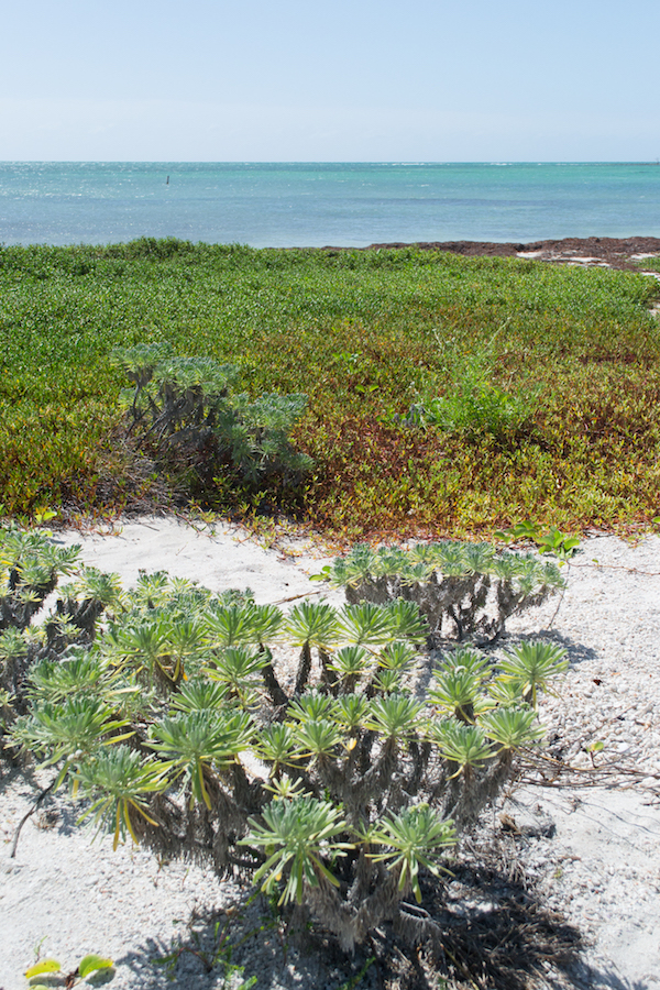 Visiting Bahia Honda State Park in the Florida Keys • Jetset Jansen