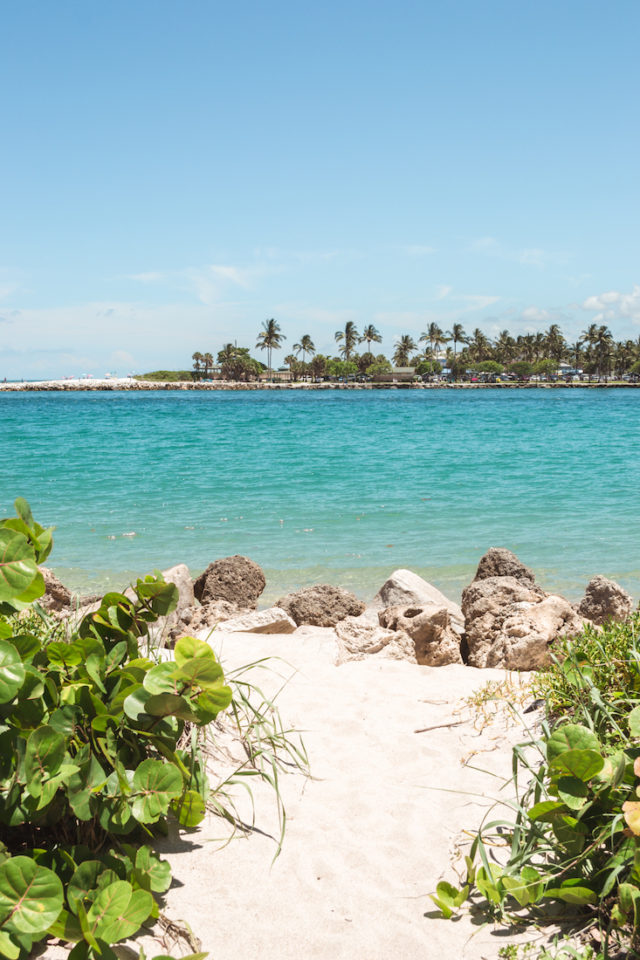 Visit Fort Pierce Inlet State Park in Beautiful Florida • Jetset Jansen