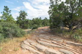 Hiking Yant Flat to the Beautiful Candy Cliffs of Utah • Jetset Jansen