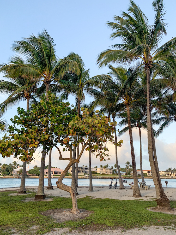 Top Things to Do in Jupiter, Florida • Jetset Jansen