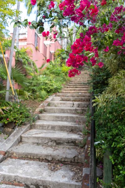 The Best Things to Do in St. Thomas, US Virgin Islands • Jetset Jansen