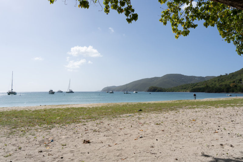 The Best Beaches in St. Thomas, US Virgin Islands • Jetset Jansen