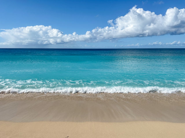 The Top Things to Do in St Croix, US Virgin Islands • Jetset Jansen