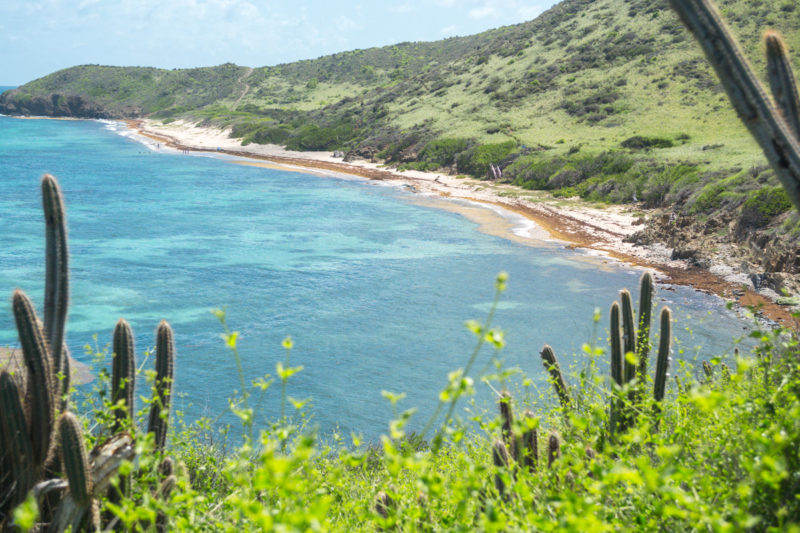 St. Thomas vs St. Croix: Which US Virgin Island is Better? • Jetset Jansen