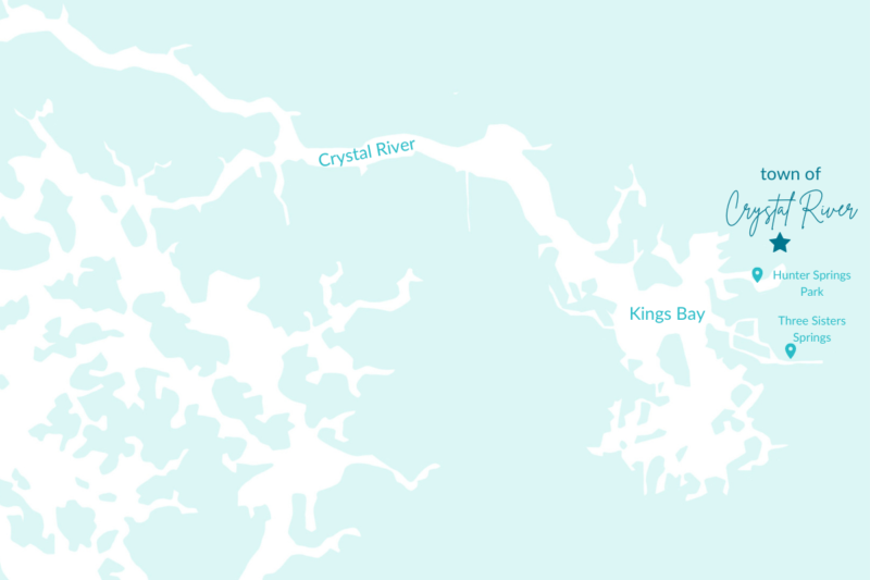 How to Visit Three Sisters Springs Crystal River, Florida