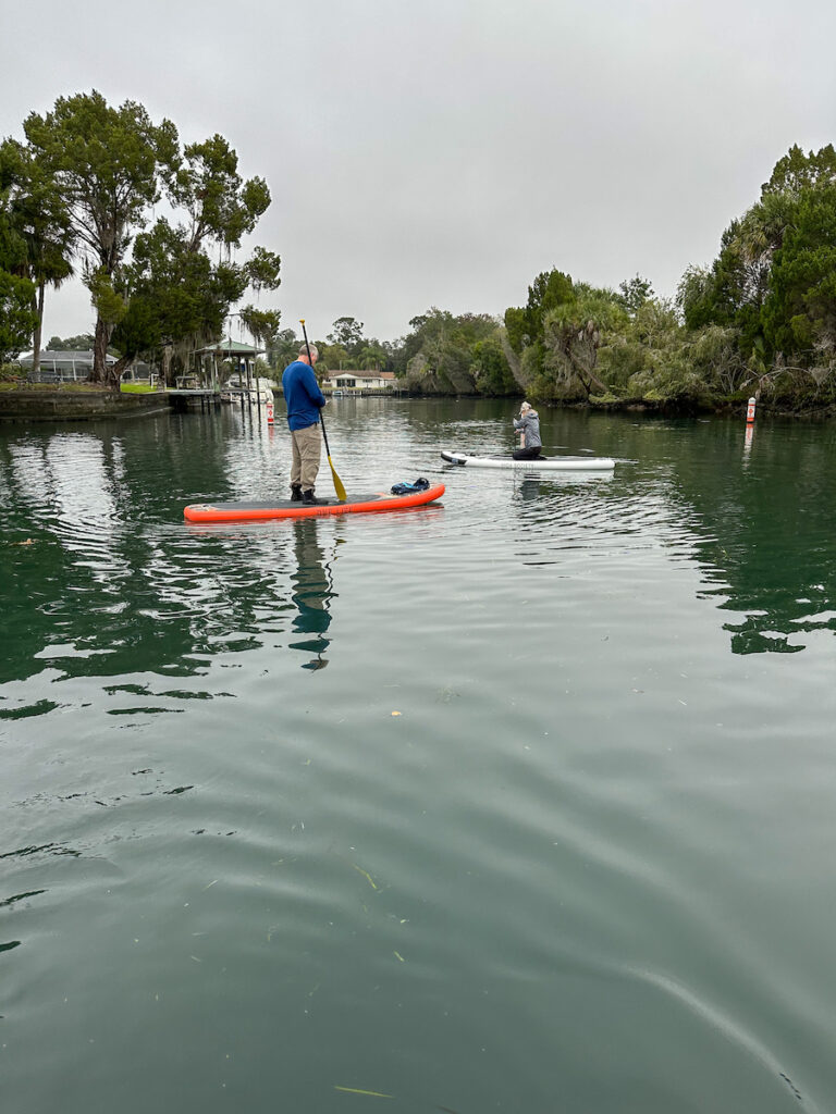 How to Swim with Manatees in Crystal River, Florida