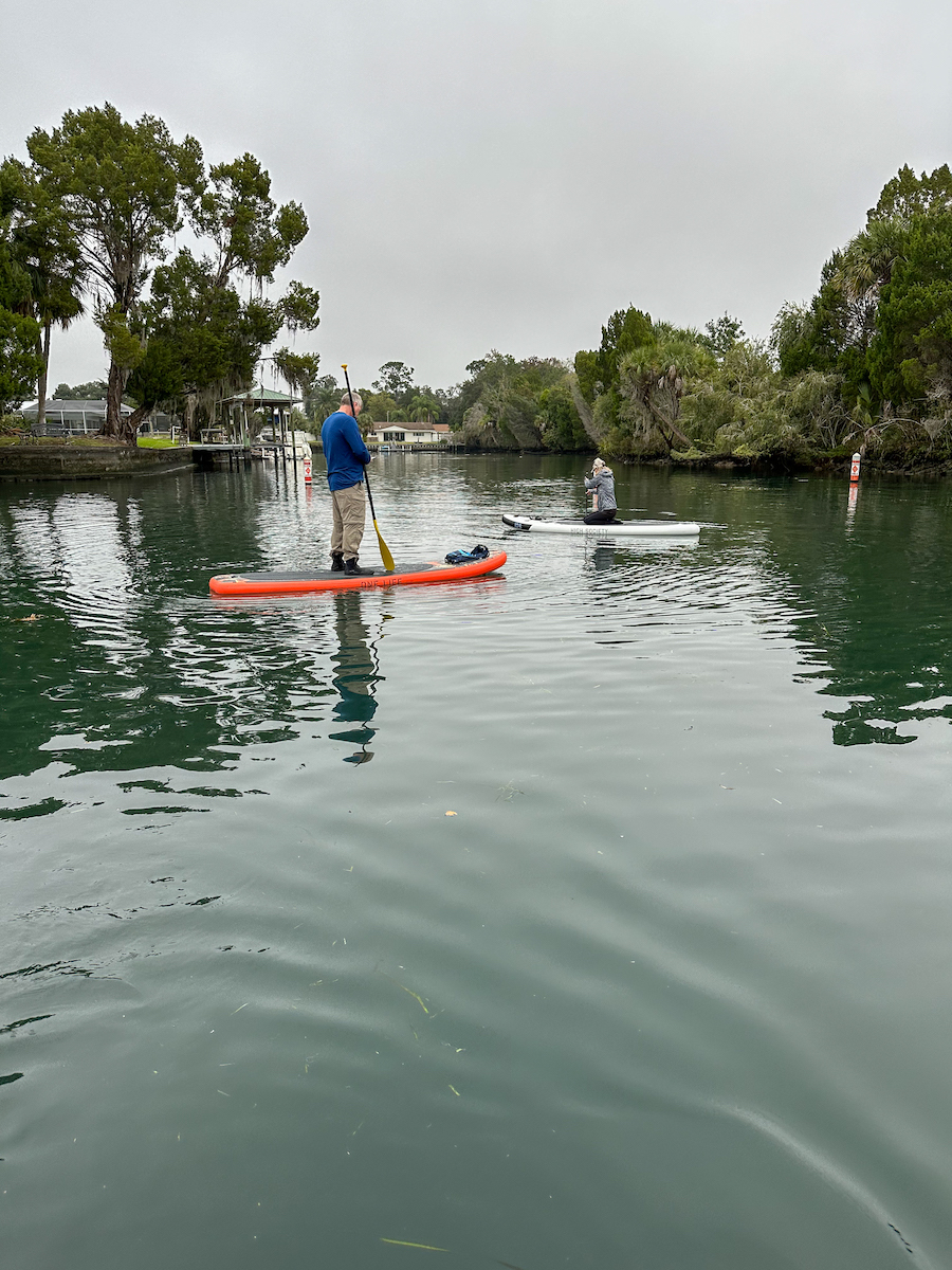 How to Swim with Manatees in Crystal River, Florida