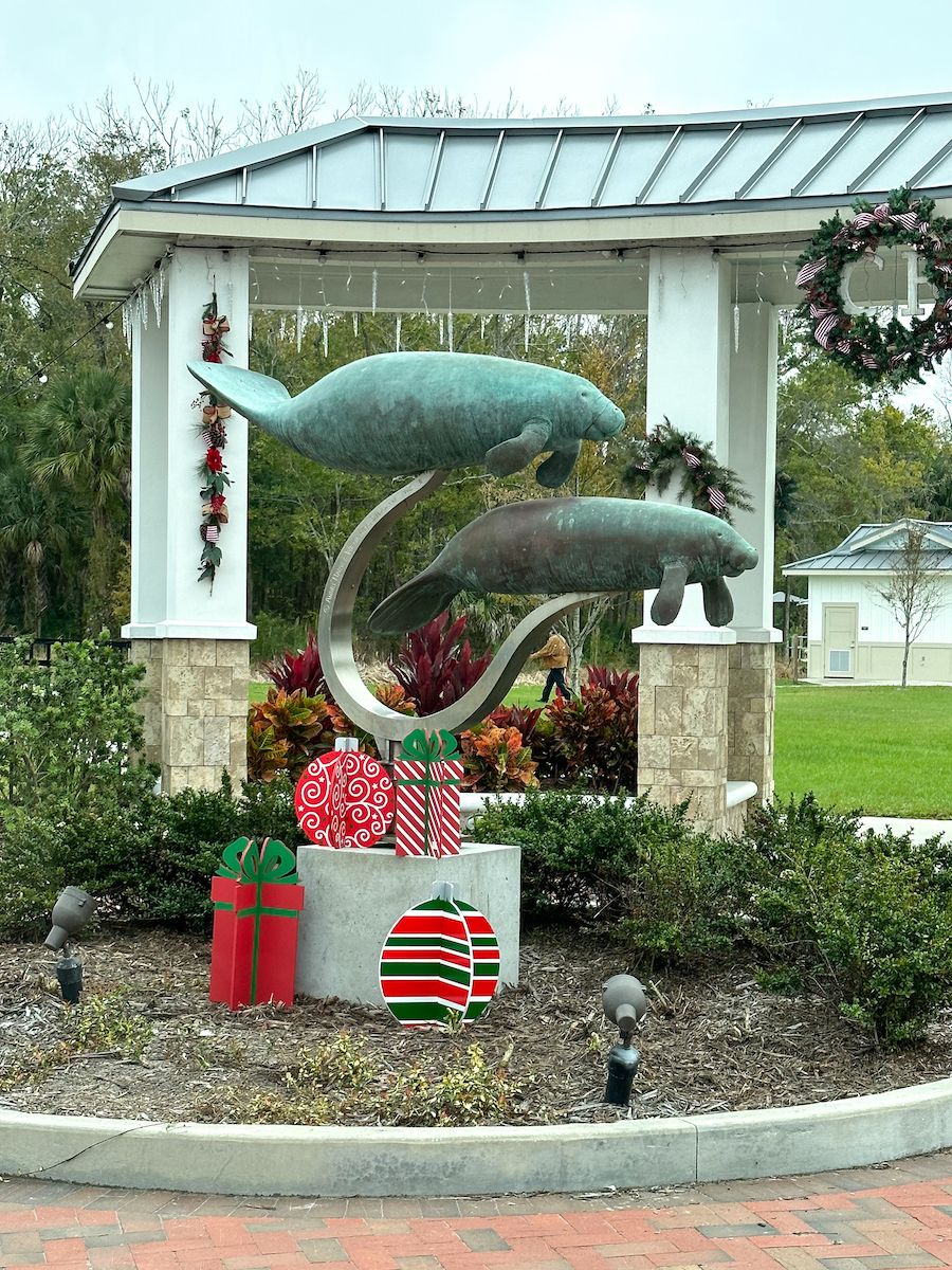 How to Swim with Manatees in Crystal River, Florida