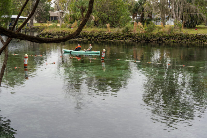 How to Visit Three Sisters Springs Crystal River, Florida