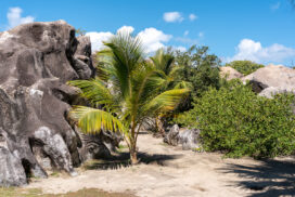 Spring Bay Virgin Gorda: A Beautiful Beach in the BVI
