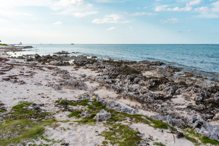 The Best Grand Cayman Beaches to Visit • Jetset Jansen