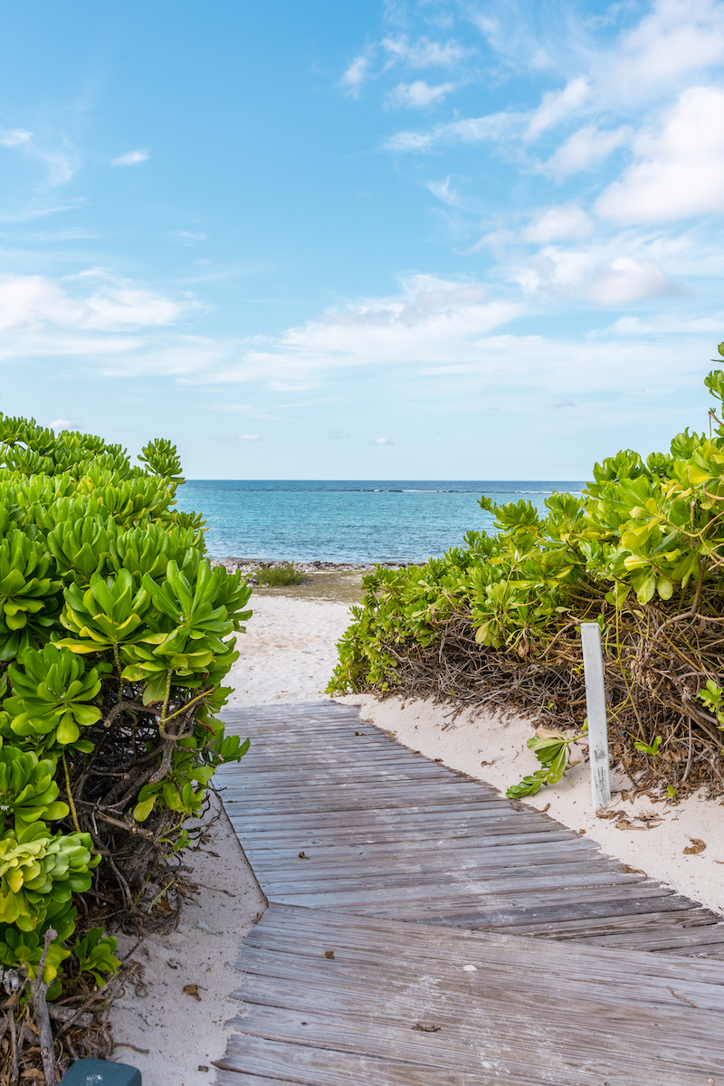 The Best Grand Cayman Beaches to Visit • Jetset Jansen