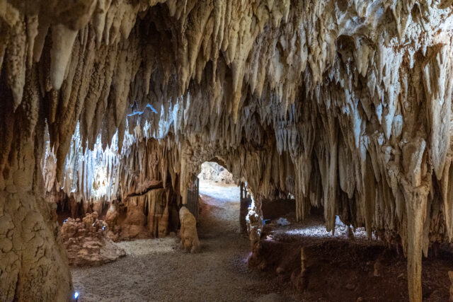 Exploring the Cayman Crystal Caves in Grand Cayman • Jetset Jansen