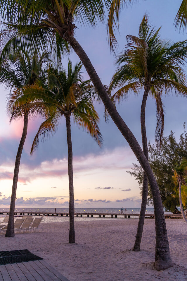 The Best Grand Cayman Beaches to Visit • Jetset Jansen
