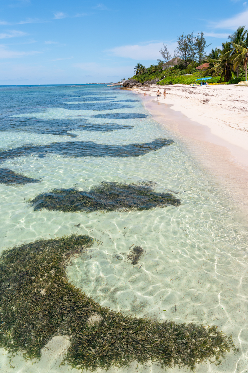 Spotts Beach Grand Cayman: A Day in Paradise • Jetset Jansen