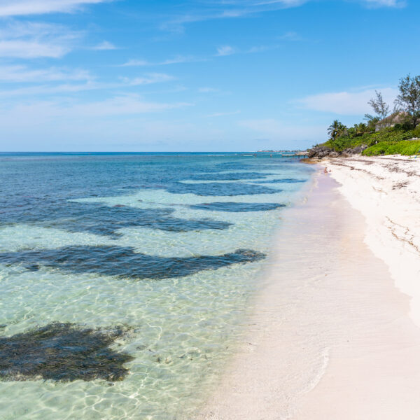 Kayaking the Bioluminescent Bay in Grand Cayman • Jetset Jansen