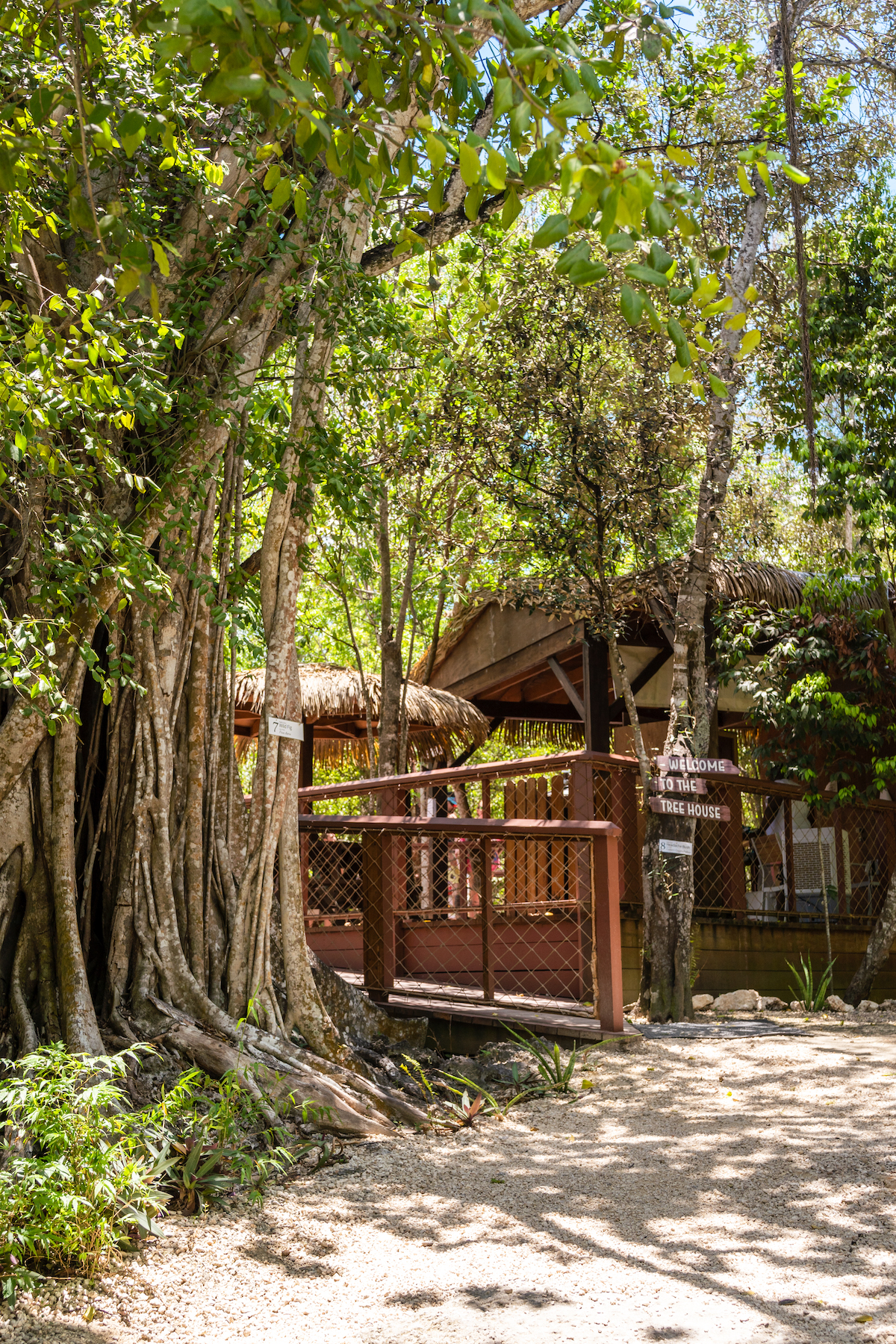 Exploring the Cayman Crystal Caves in Grand Cayman • Jetset Jansen