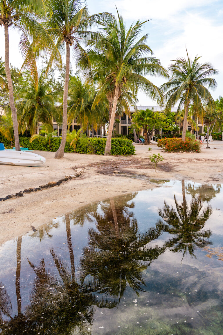 Kayaking the Bioluminescent Bay in Grand Cayman • Jetset Jansen