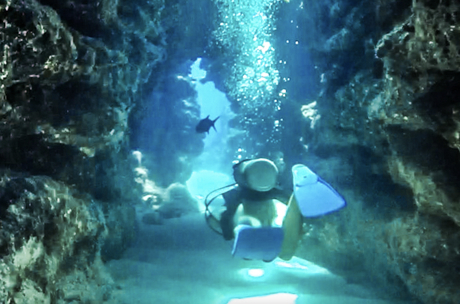 Devil's Grotto + Eden Rock: Scuba Diving in Grand Cayman • Jetset Jansen
