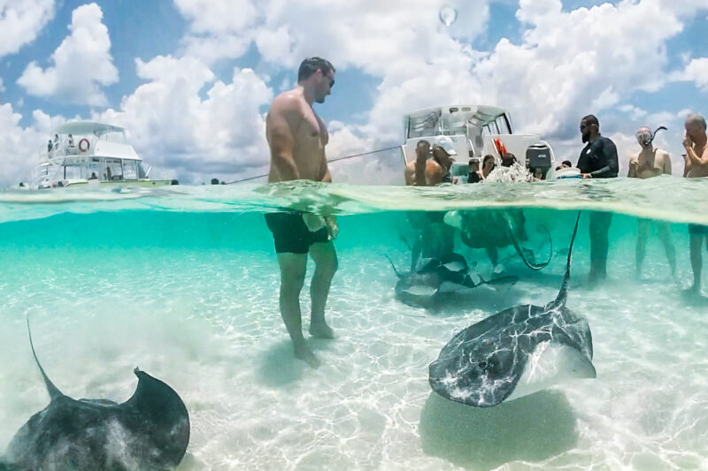 Stingray City Grand Cayman: Go Swimming with Stingrays! • Jetset Jansen