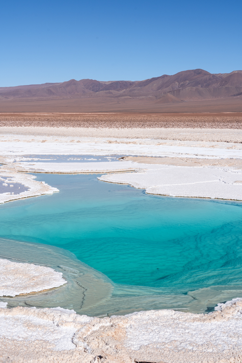 The Hidden Baltinache Lagoons in Chile's Atacama Desert • Jetset Jansen